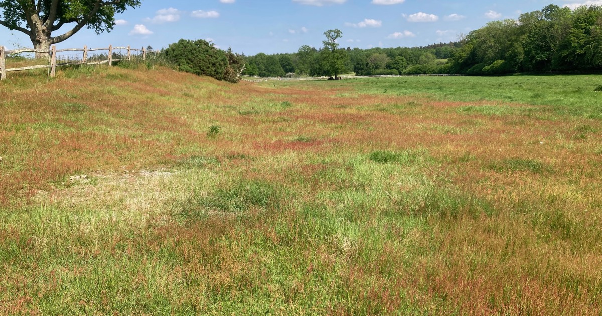 A visit to Hoyle Farm