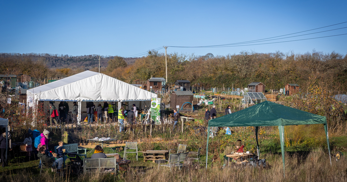 Petersfield Tree Festival was a flourishing success!
