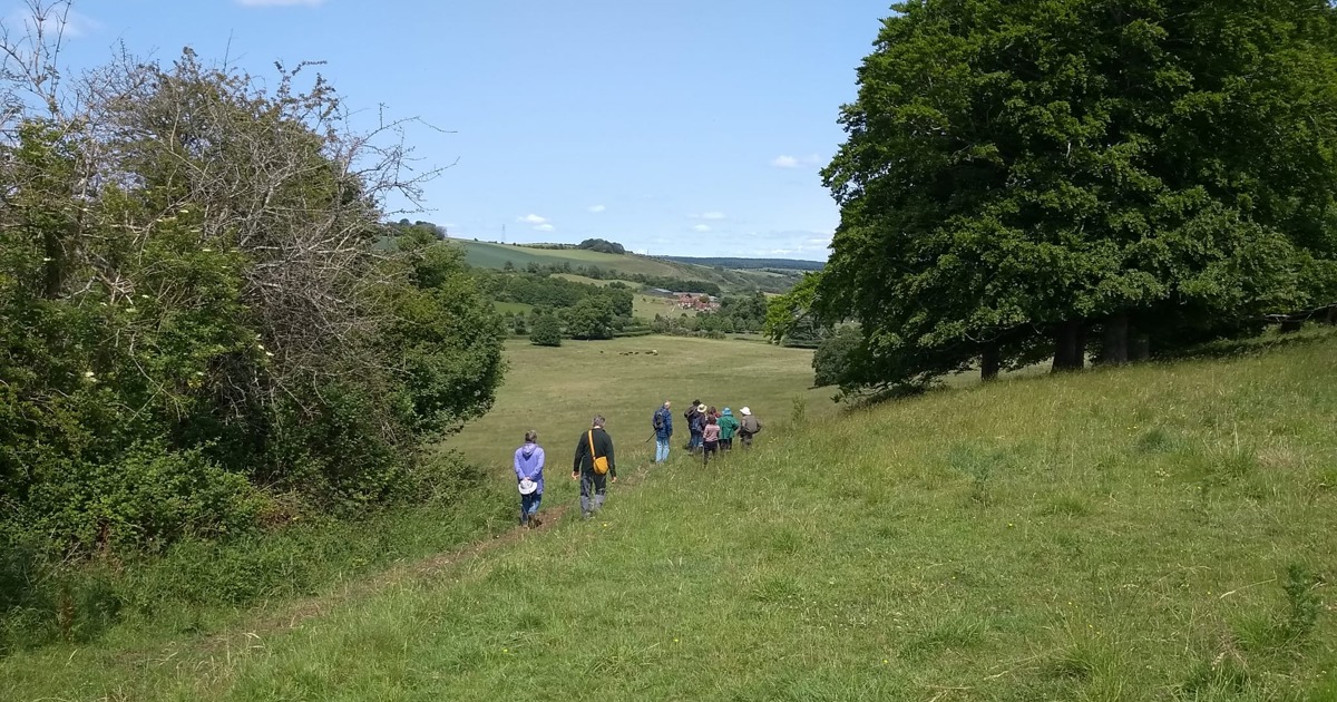 Visit to South Holt Farm