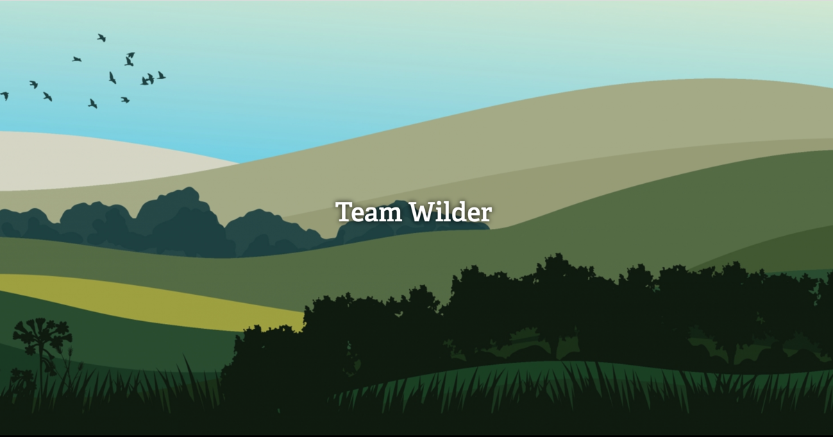 Meet the new Team Wilder Communities Officer